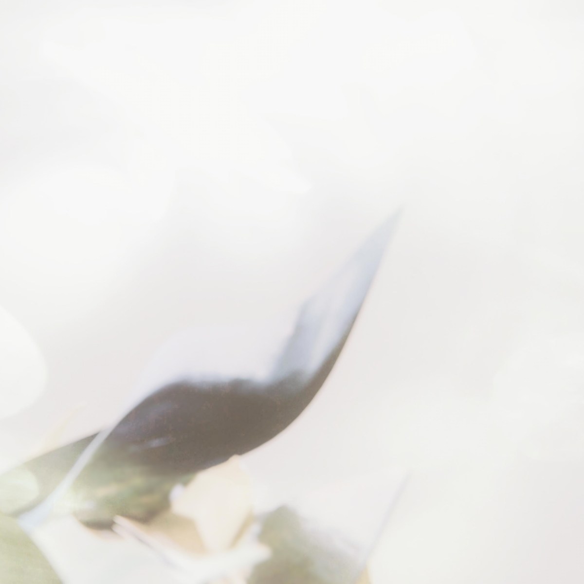 Requiem & Simon McCorry Are Sharing A Debut Single From Their ...