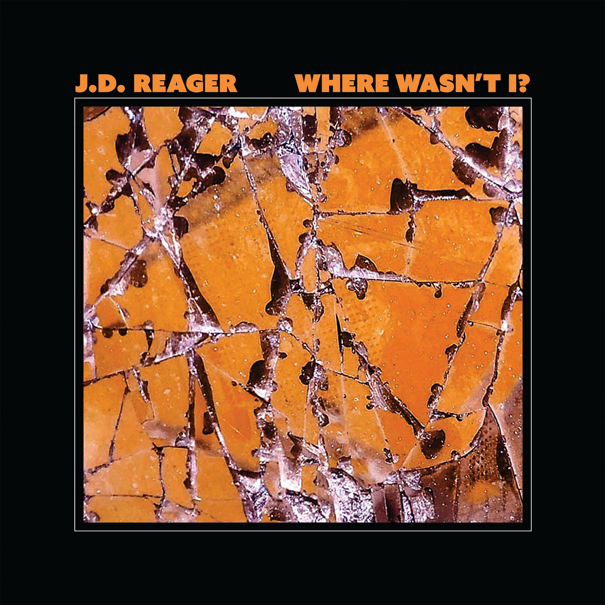 J.D. Reager – Where Wasn’t I? LP (Back To The Light Records) – Thoughts ...