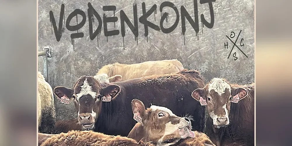 Vodenkonj Signs With Geenger Records, Announces Debut Album, Shares ...